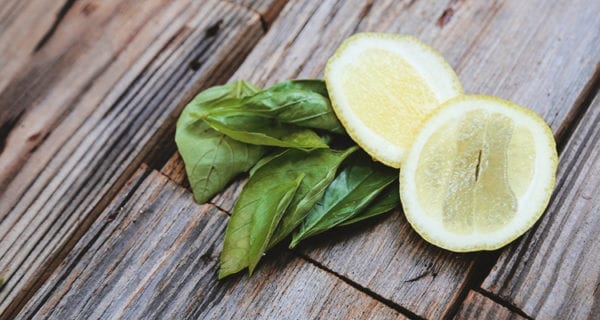 Recipe: Basil Gimlet - Wander North Georgia