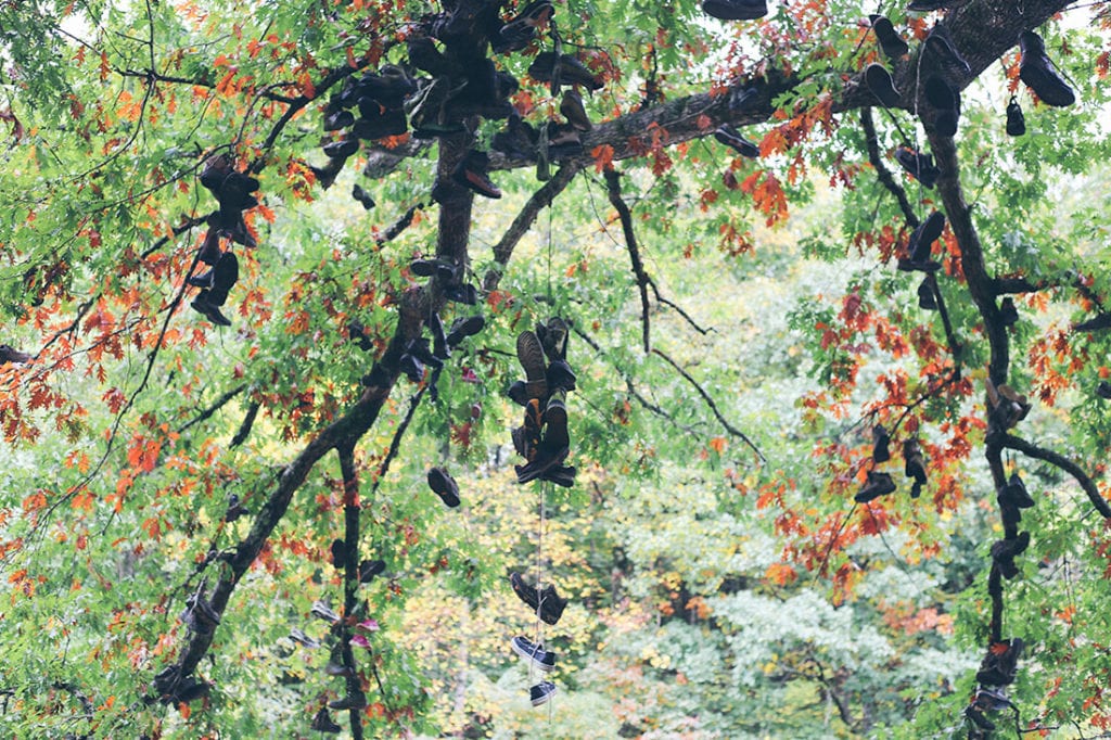 Mountain Crossings at Neel Gap