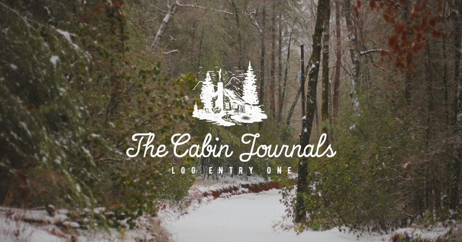The Cabin Journals: Log One - Wander North Georgia