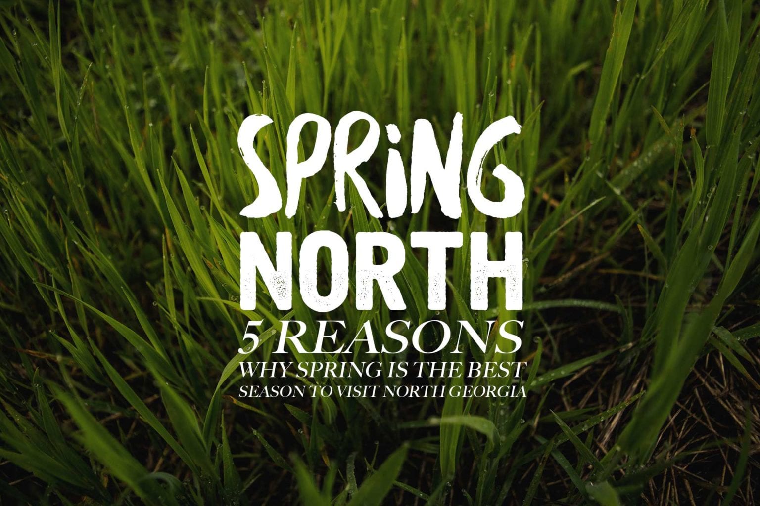 Cave Spring Georgia: A Hidden Gem Off The Beaten Path