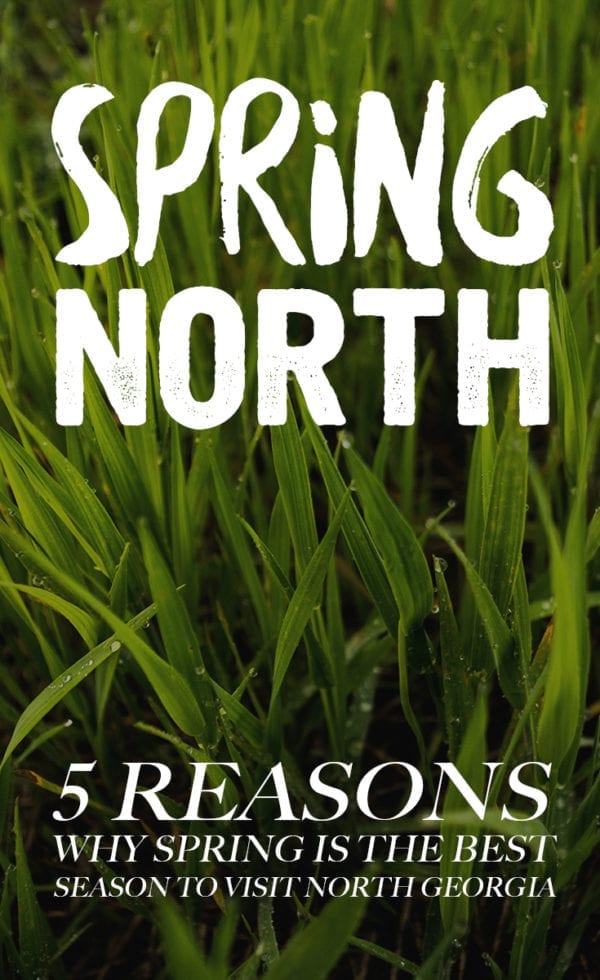 Spring North: 5 Reasons Why Spring Is The Best Season To Visit North ...