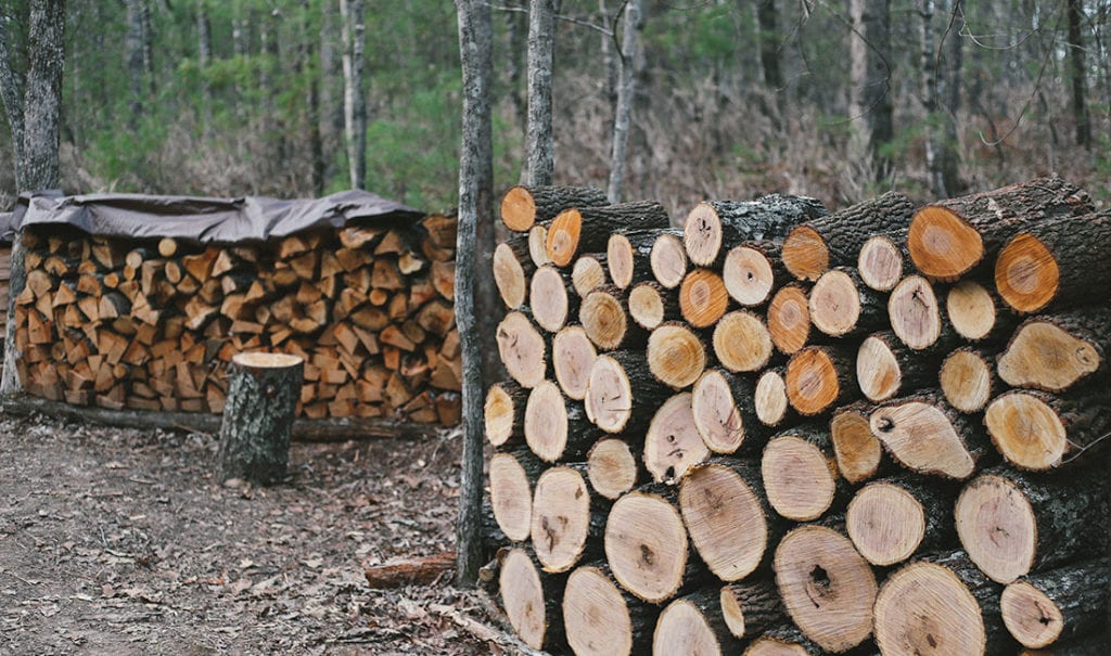 The Cabin Journals: Living With The Seasons