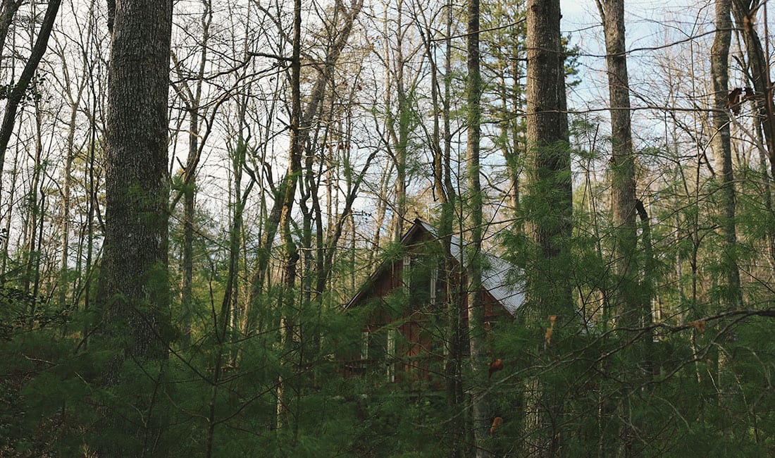 The Cabin Journals: Living With The Seasons