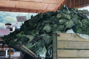 Osage Farmers Market: One of North Georgia's Best Farm Stands