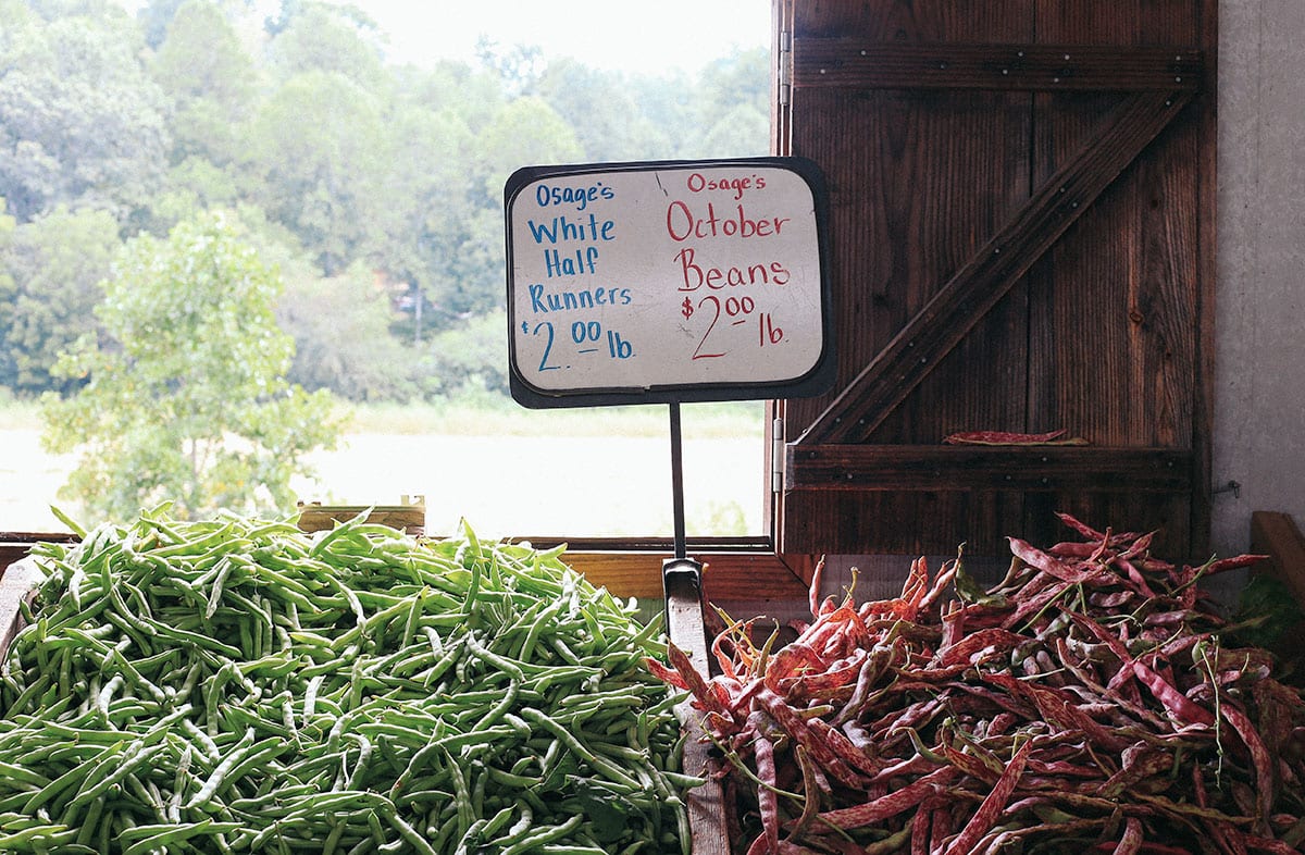 Osage Farmers Market: One of North Georgia's Best Farm Stands