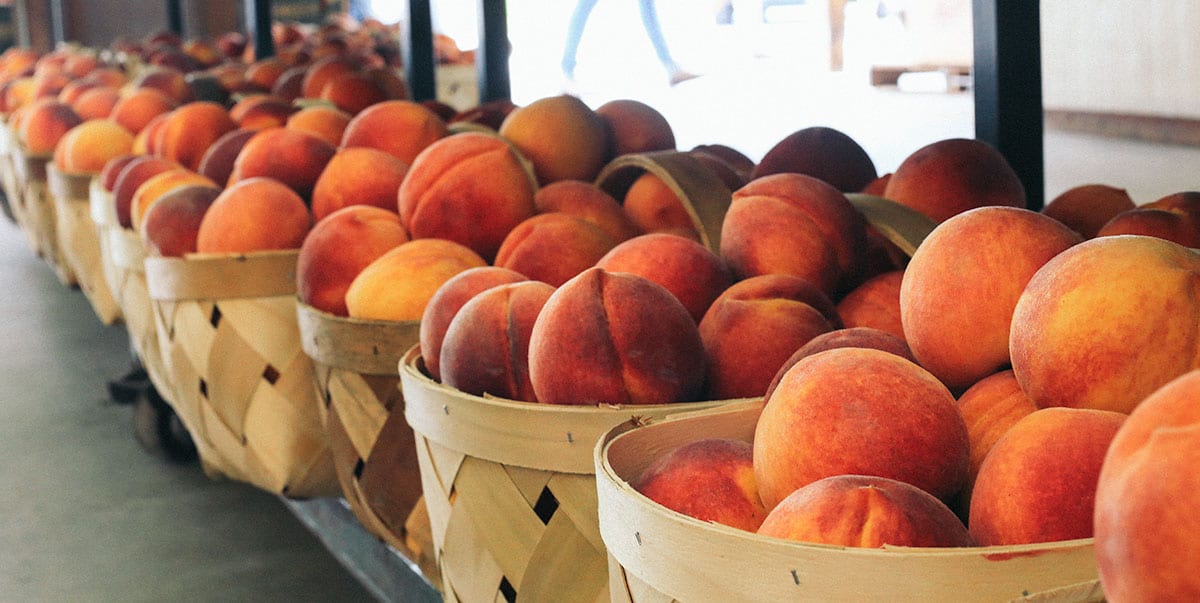 Osage Farmers Market: One of North Georgia's Best Farm Stands