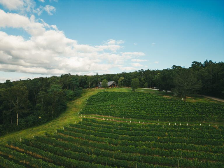 A Definitive Guide to North Georgia Wineries & Vineyards (w/ Map!)