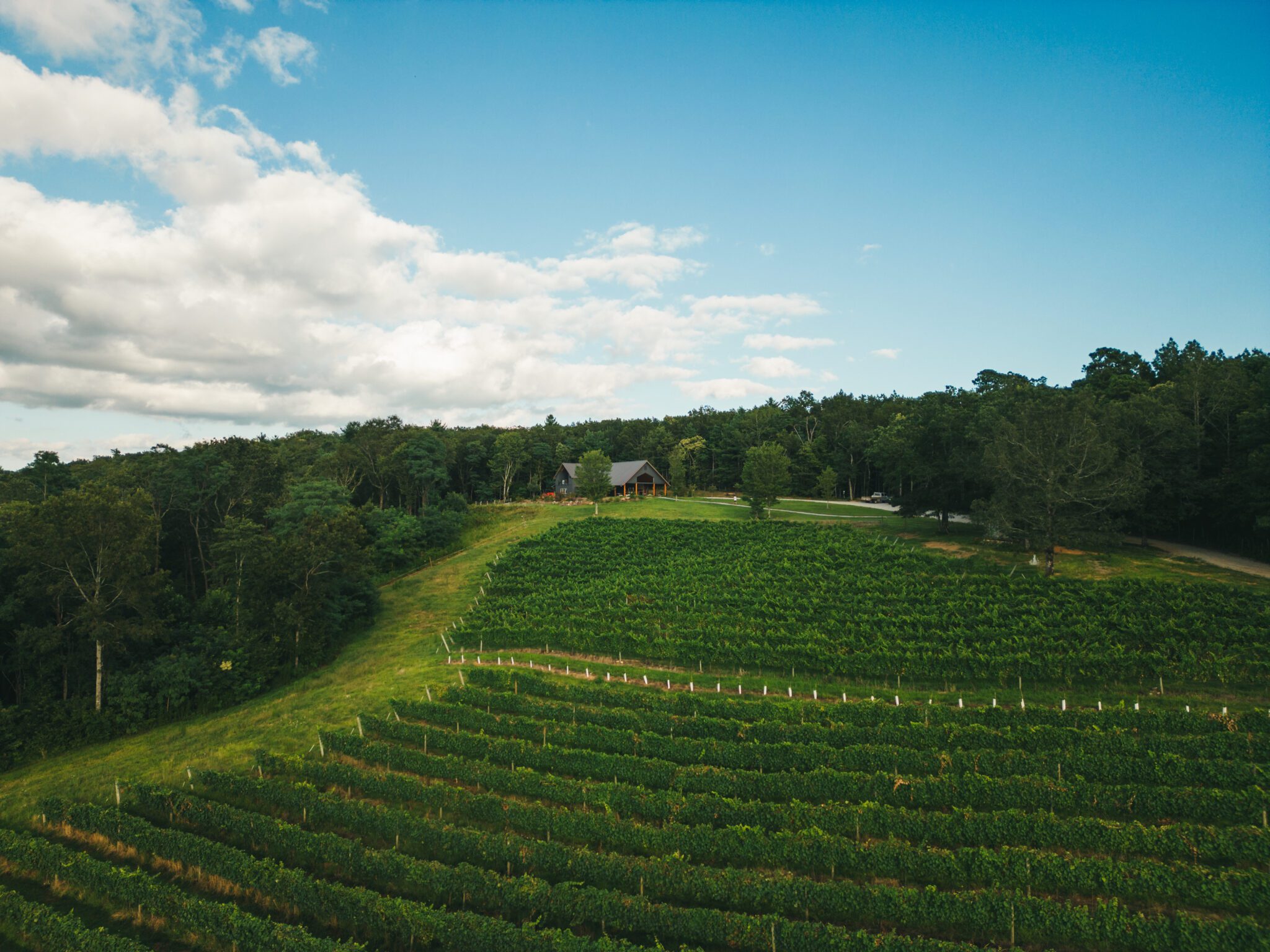 A Definitive Guide to North Georgia Wineries & Vineyards (w/ Map!)
