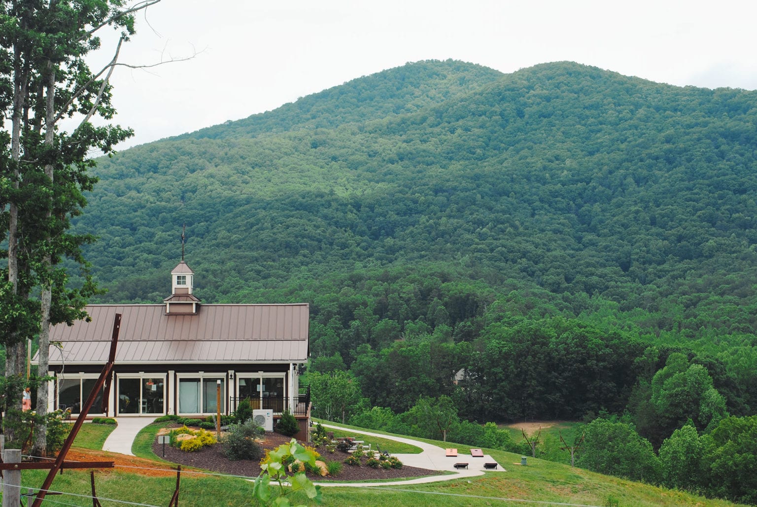 A Definitive Guide to North Georgia Wineries & Vineyards (w/ Map!)