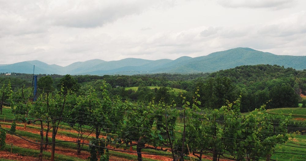 A Definitive Guide to North Georgia Wineries & Vineyards (w/ Map!)