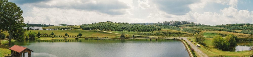 Mercier Orchards: Apples, Fun, and Nostalgia