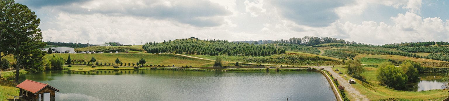 Mercier Orchards: Apples, Fun, and Nostalgia