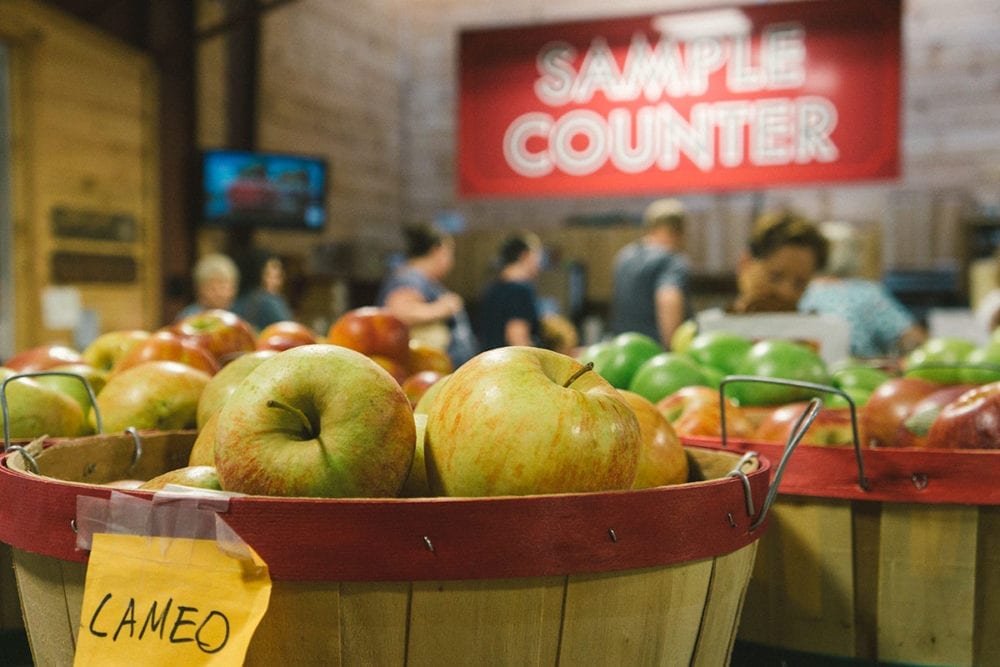 Mercier Orchards: Apples, Fun, and Nostalgia