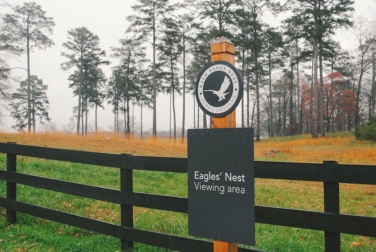 The Weekend Guide To Rome Georgia