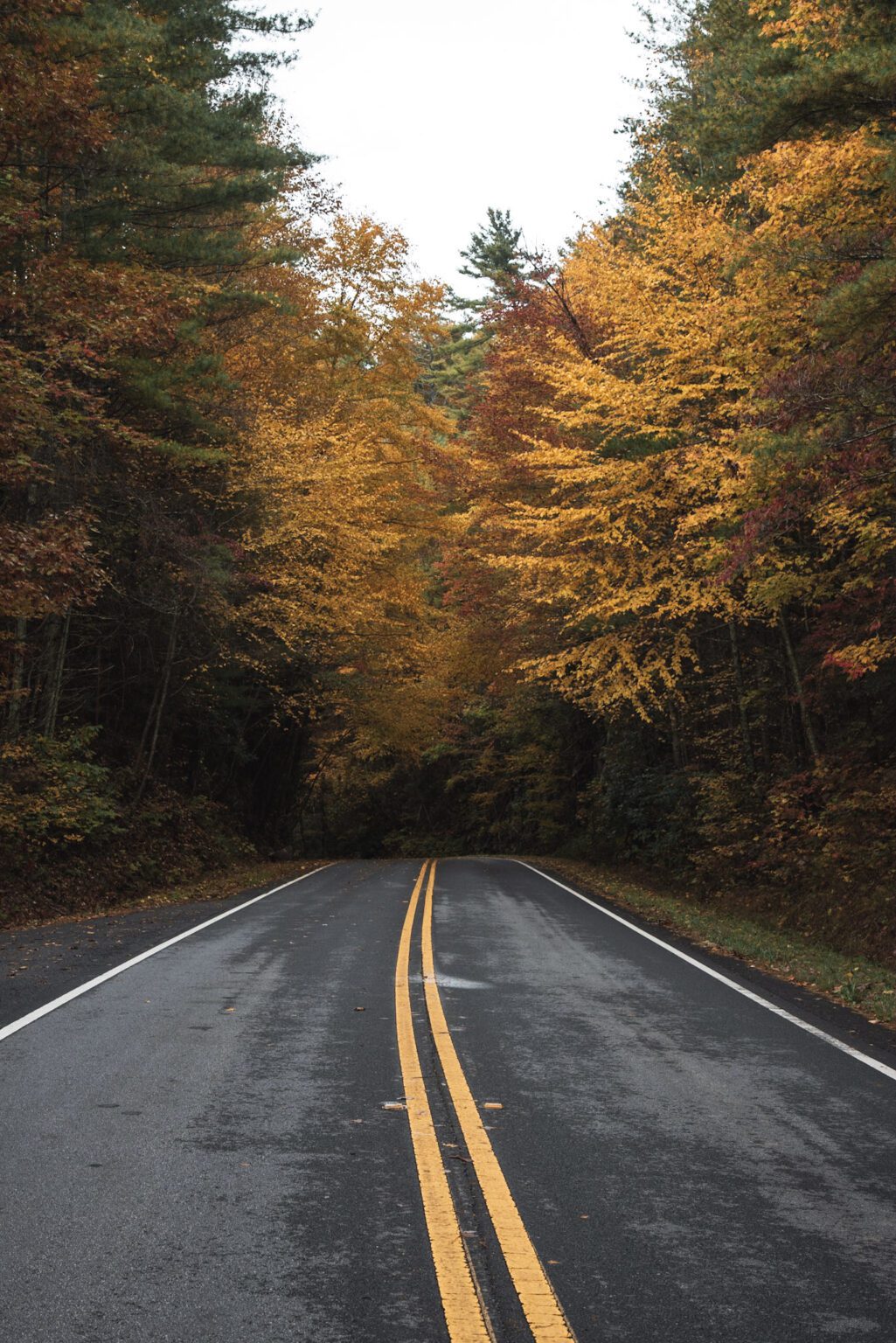 Road Trip Rambles: The Richard B. Russell Scenic Highway