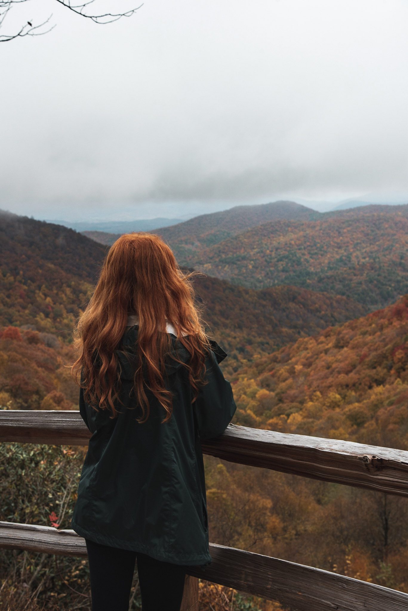 Road Trip Rambles: The Richard B. Russell Scenic Highway