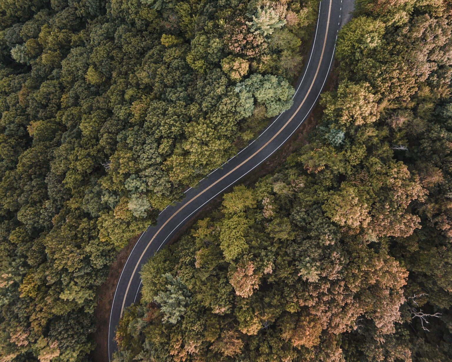 Road Trip Rambles: The Richard B. Russell Scenic Highway