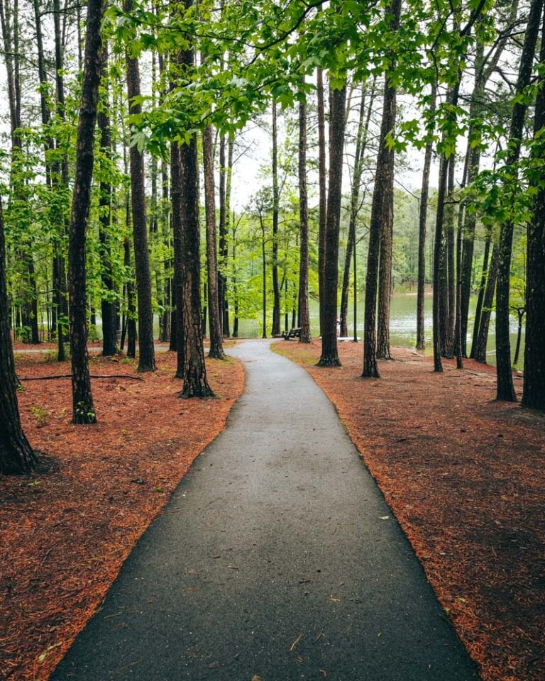 The Weekend Guide to Cartersville Georgia