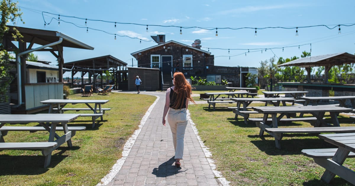 Wander South Georgia: The Wyld Dock Bar