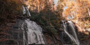 Blog - Wander North Georgia