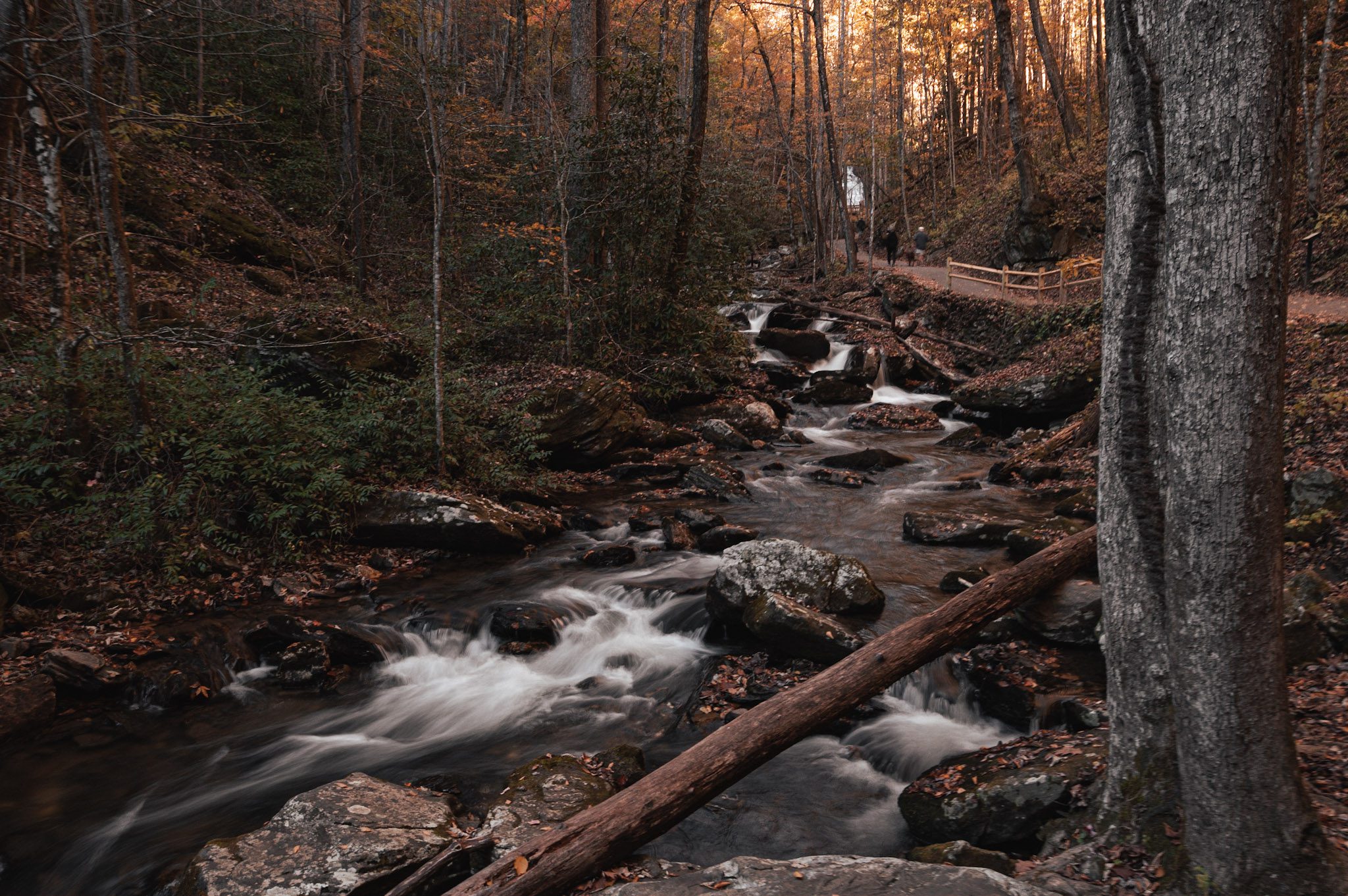 Anna Ruby Falls: Tumbling Twin Waterfalls
