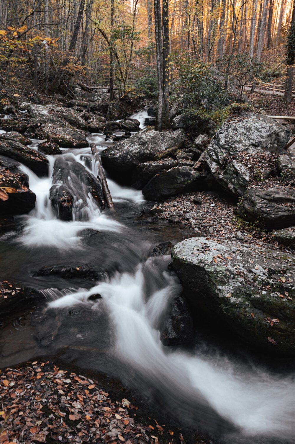Anna Ruby Falls: Tumbling Twin Waterfalls