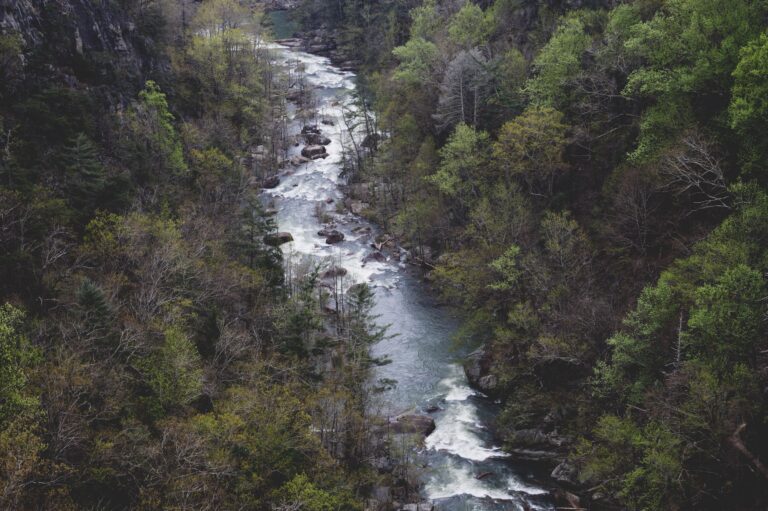 The Weekend Guide to Clarkesville Georgia
