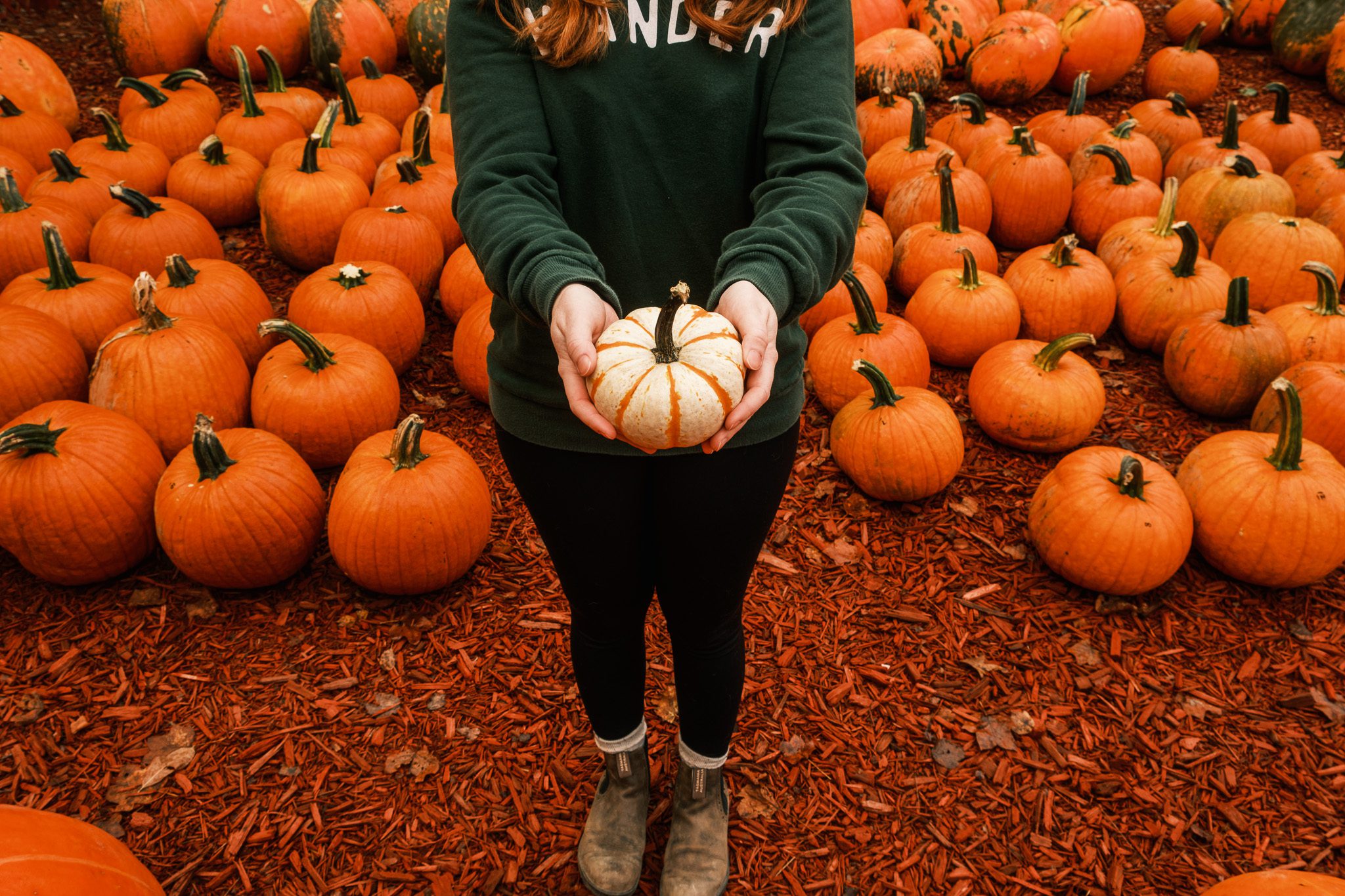 Autumn Magic at Jaemor Farms