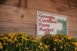 Autumn Magic at Jaemor Farms