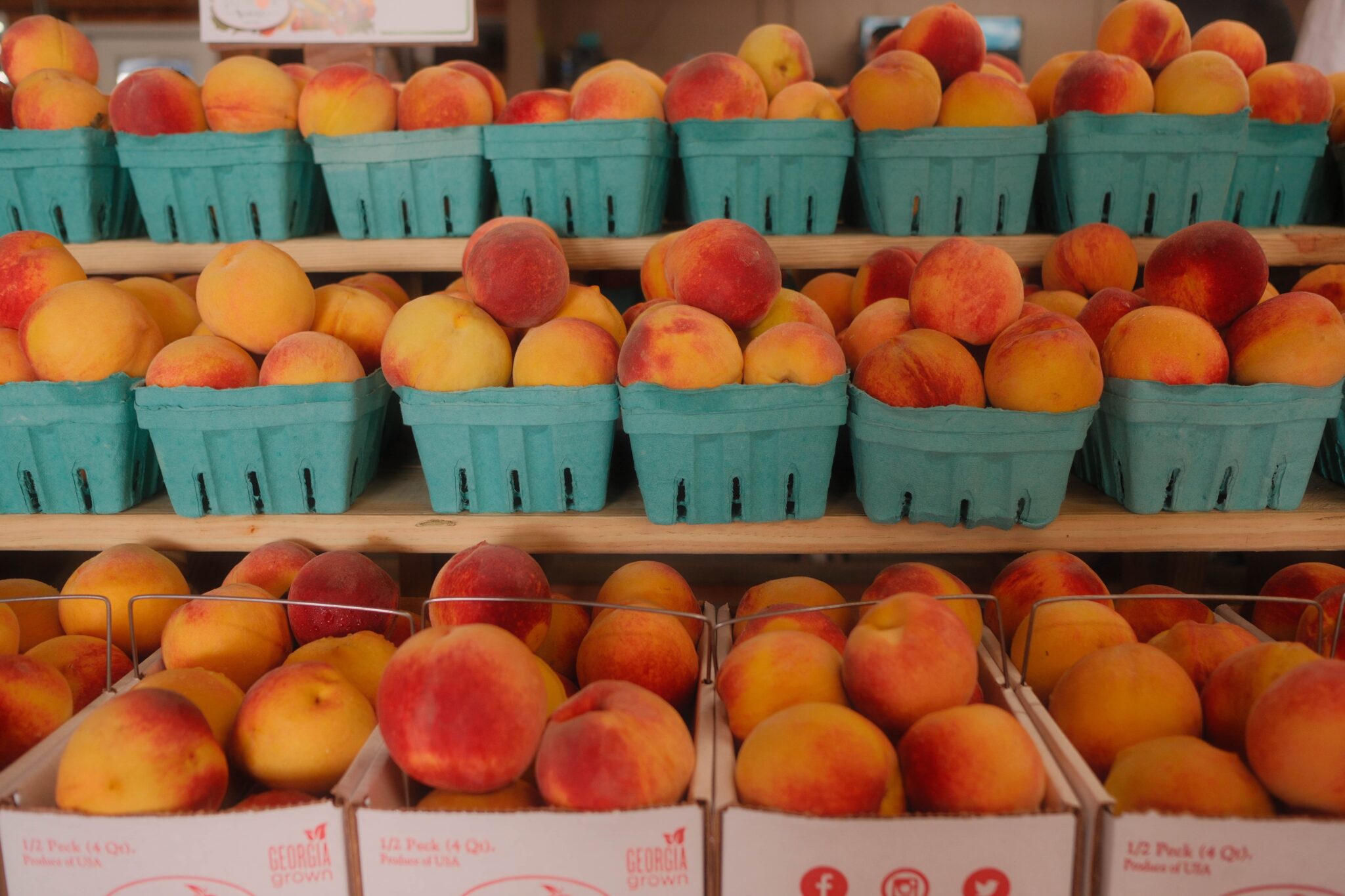 Autumn Magic at Jaemor Farms